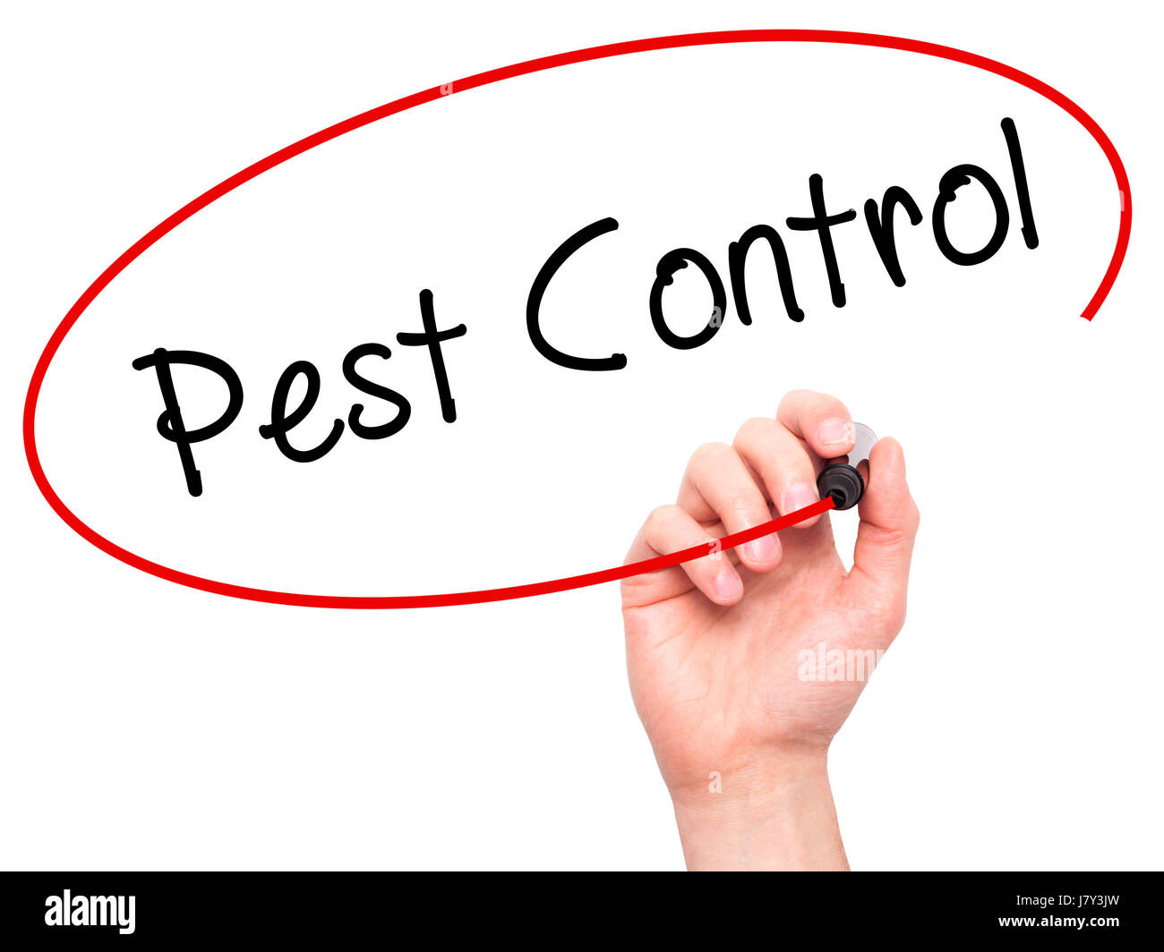 Man Hand writing Pest Control with marker on transparent wipe board ...