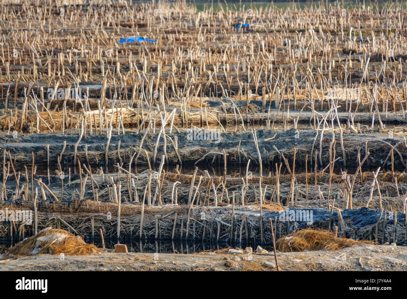 Saltmine hi-res stock photography and images - Alamy