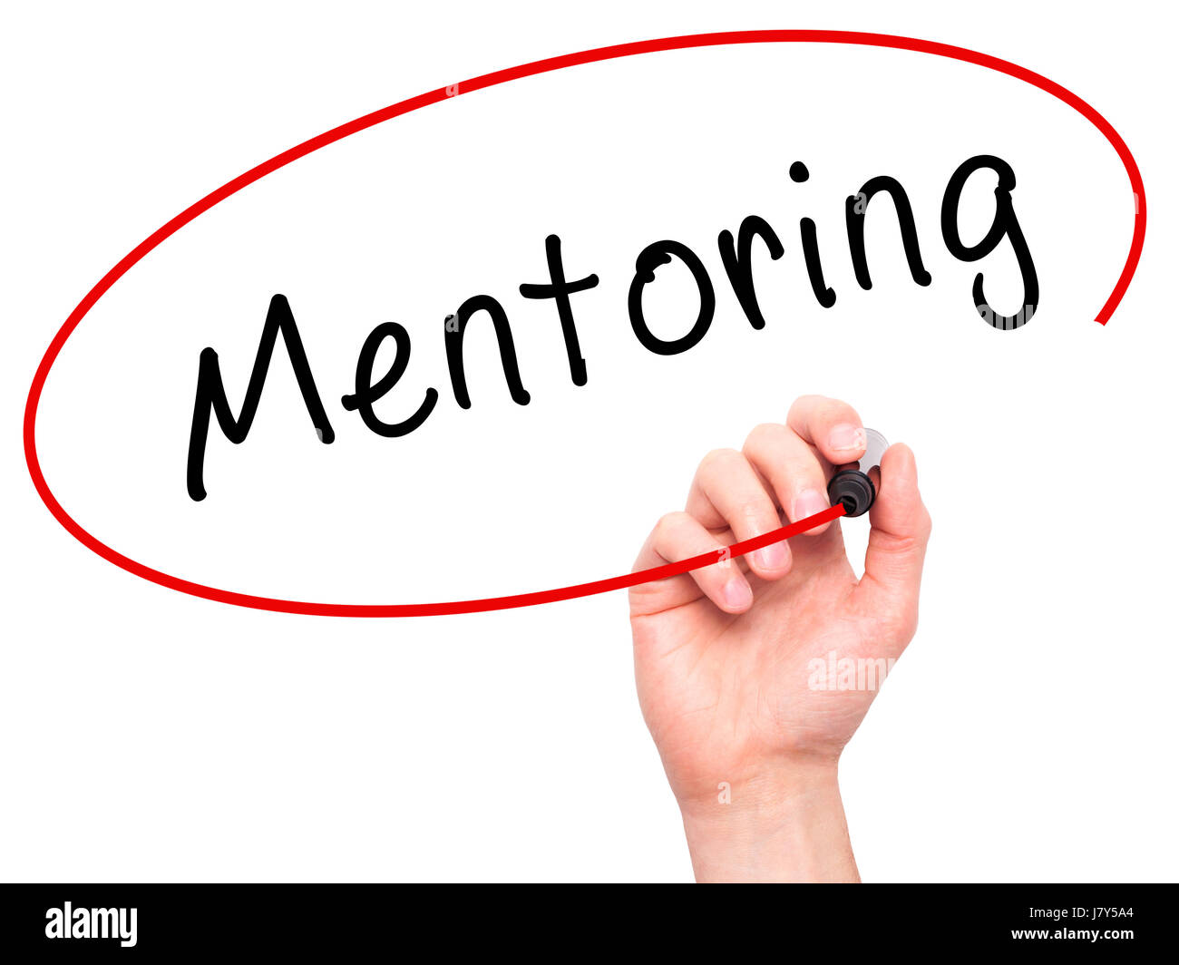 Man Hand writing Mentoring with black marker on visual screen. Isolated on white. Business ...
