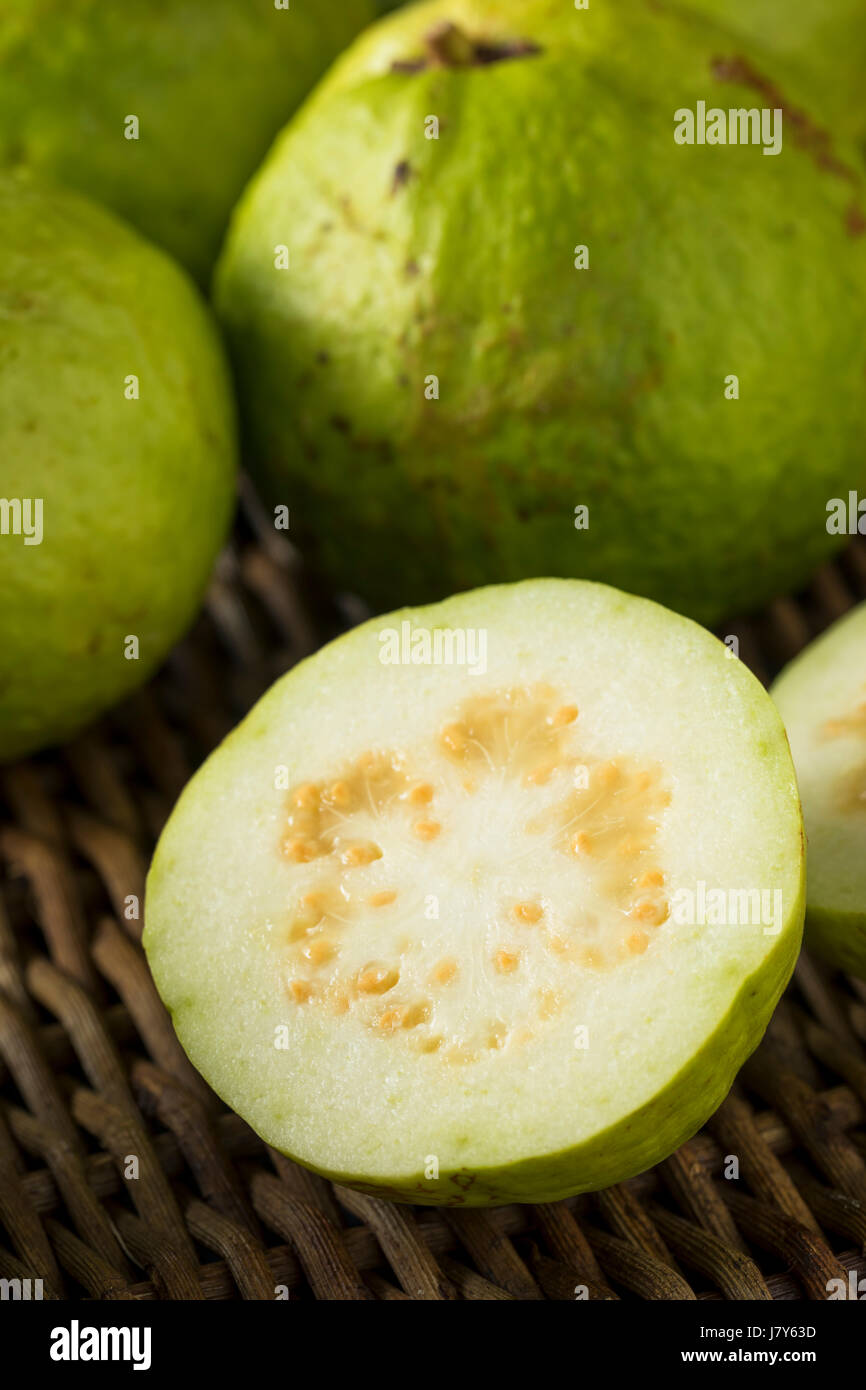 Raw Organic Green Large Guava Ready to Eat Stock Photo - Alamy