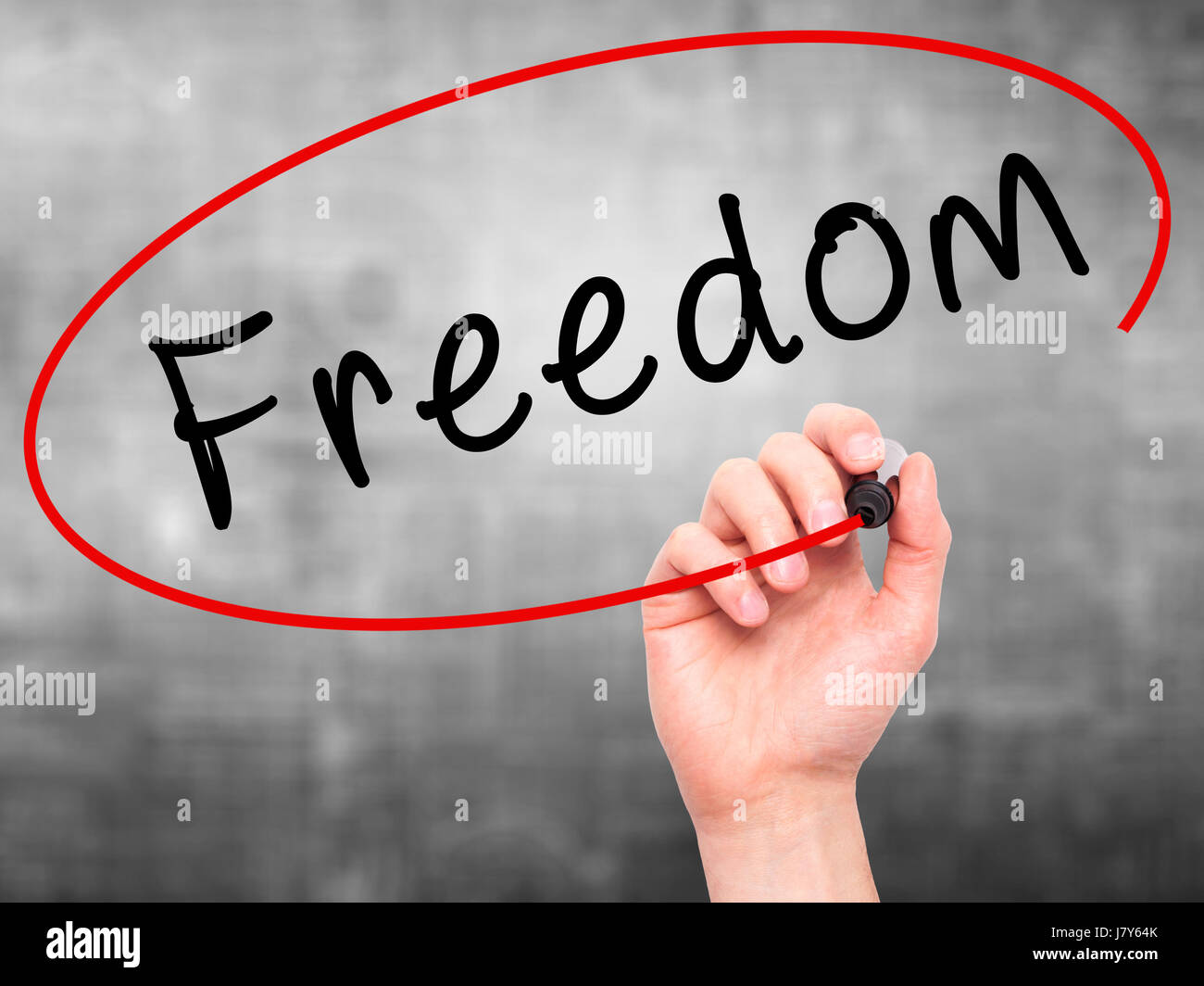 Man Hand writing Freedom with black marker on visual screen. Isolated ...