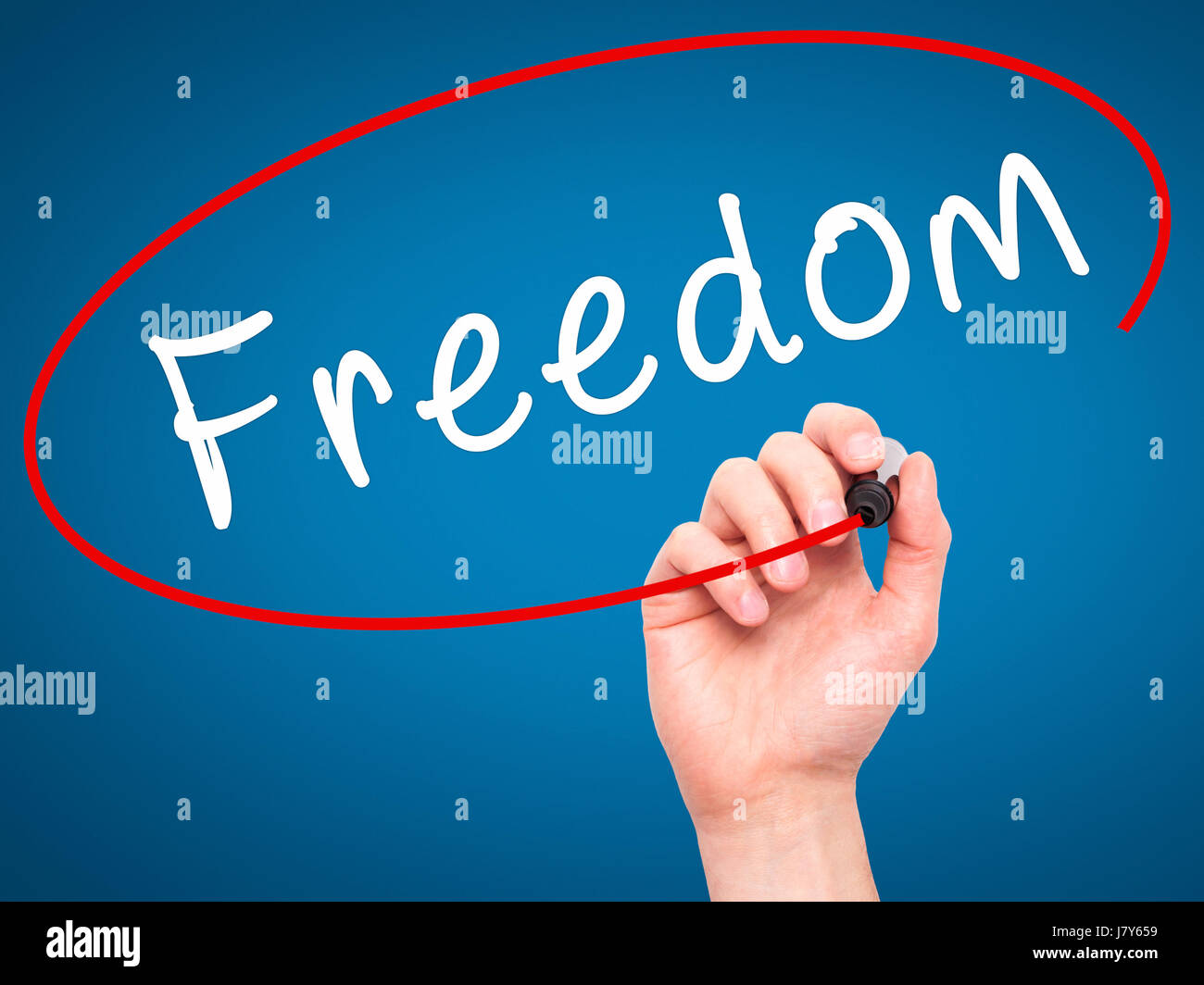 Man Hand writing Freedom with black marker on visual screen. Isolated ...