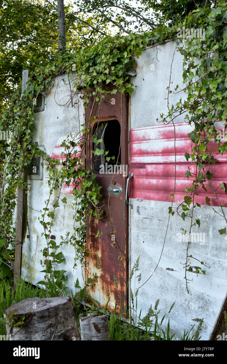 Vintage Travel Trailer Tour-A-Home, resting under Alder trees, shows ...