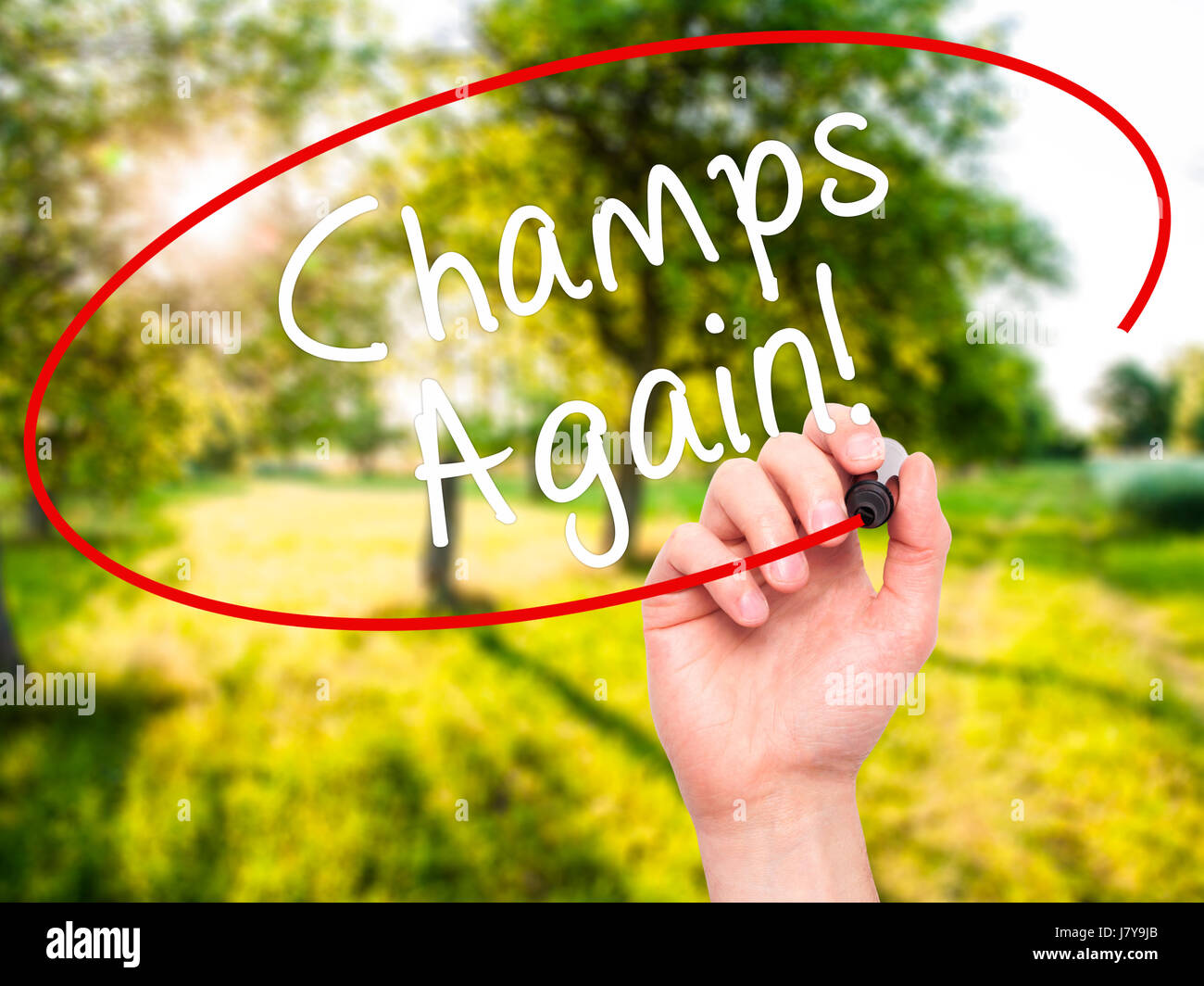 Man Hand writing Champs Again with black marker on visual screen ...