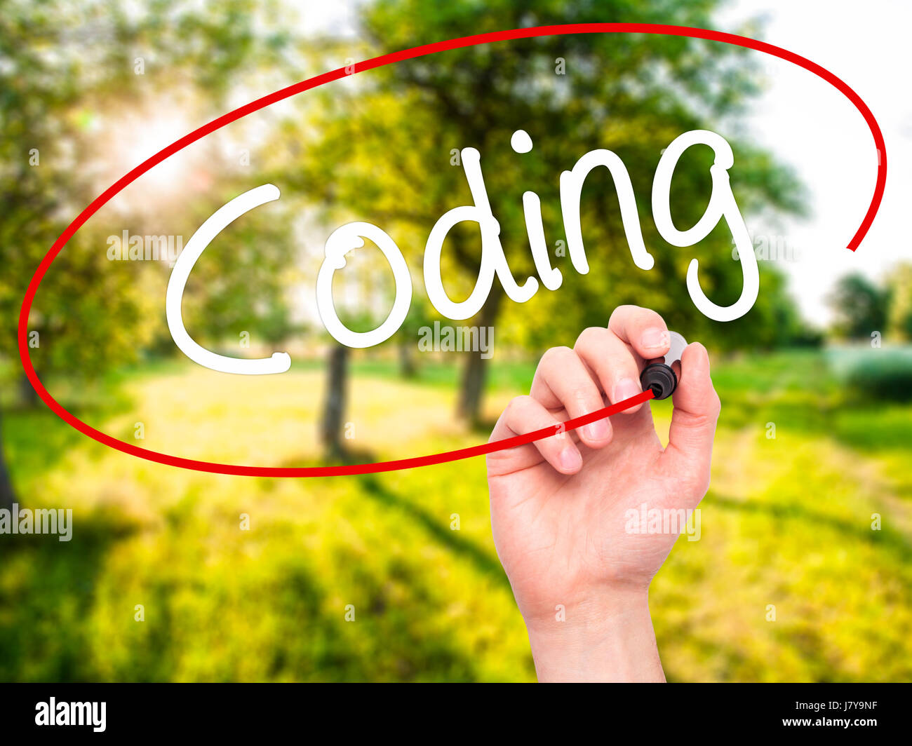 Man Hand writing Coding with black marker on visual screen. Isolated on ...