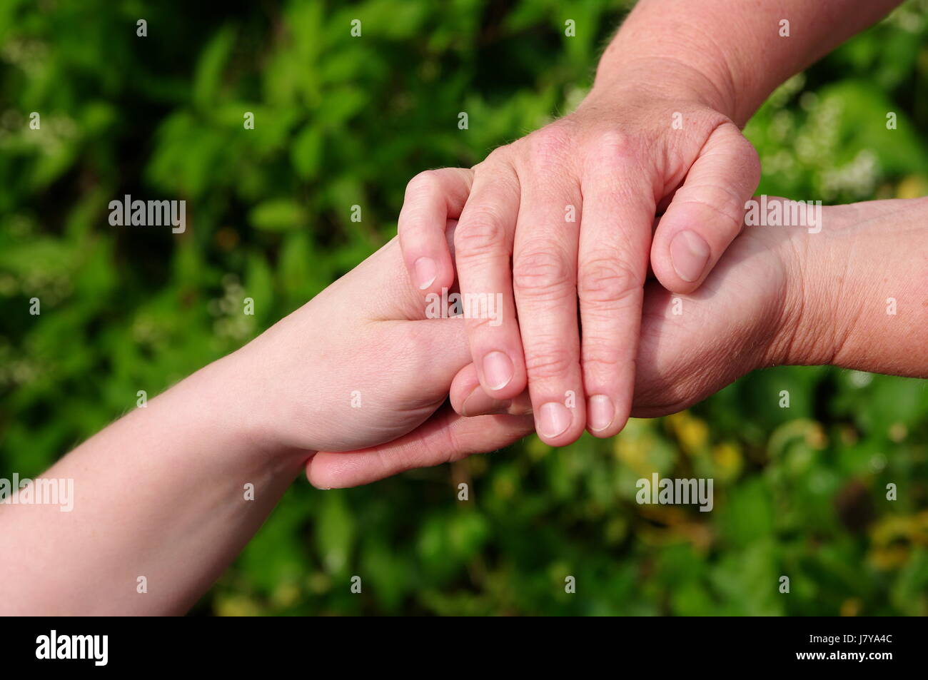 hands holding each other and give love and feel Stock Photo - Alamy