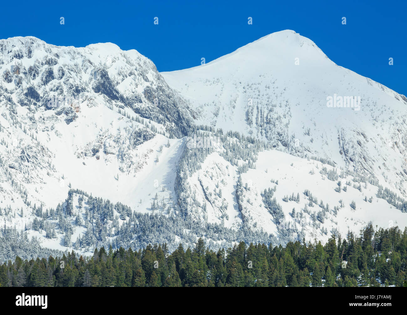 Sacagawea peak hi-res stock photography and images - Alamy