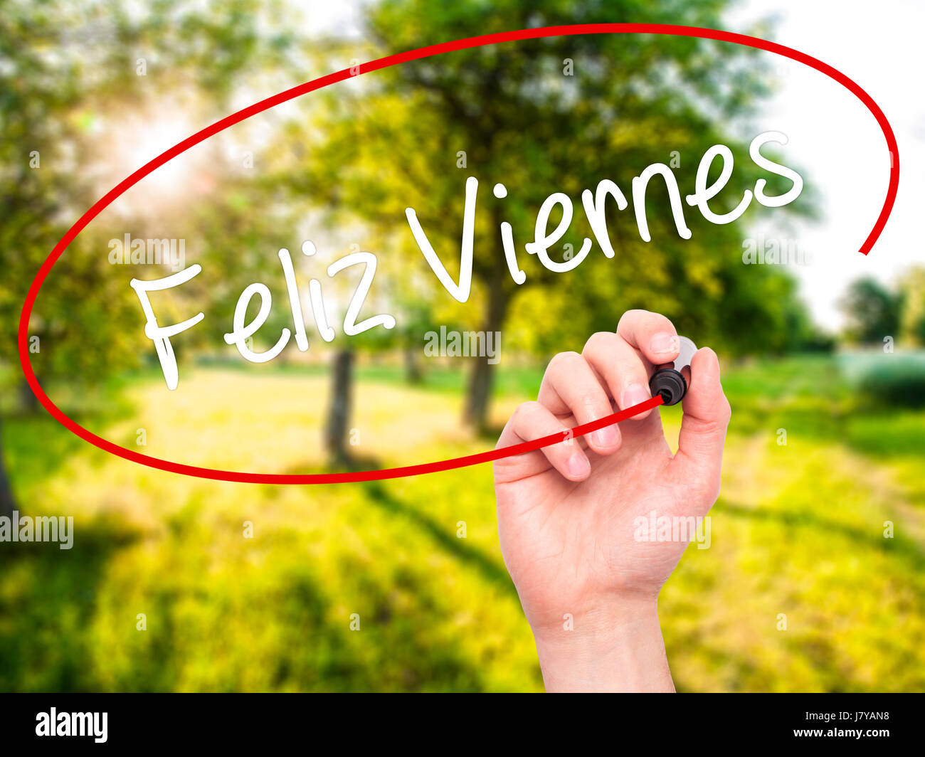 Man Hand writing Feliz Viernes (Happy Friday In Spanish) with black ...