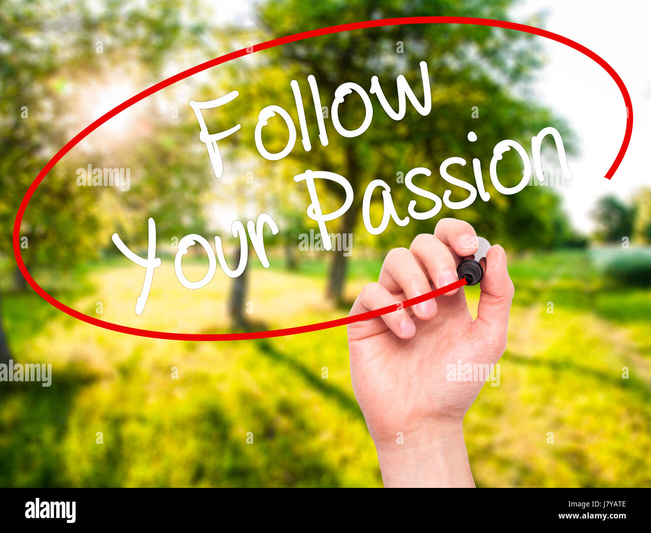 Man Hand writing Follow Your Passion with black marker on visual screen ...