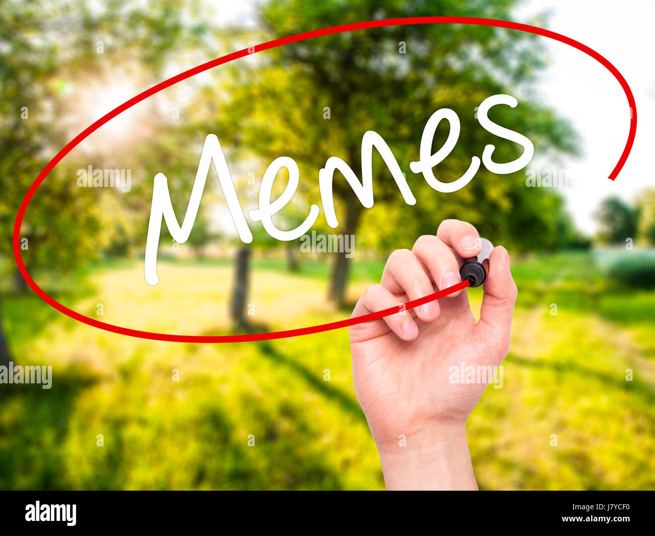 Man Hand writing Memes with black marker on visual screen. Isolated on ...