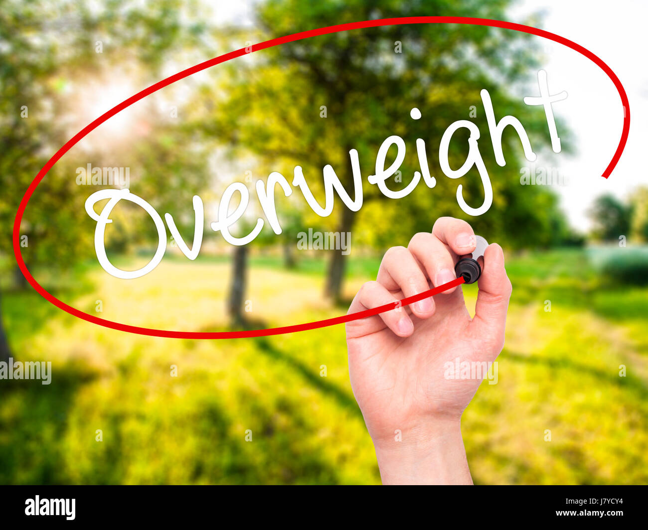 Man Hand writing Overweight with black marker on visual screen ...