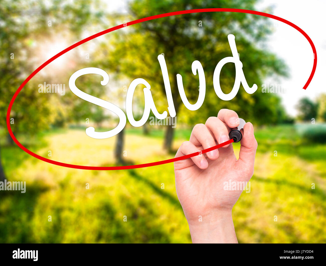 Man Hand writing Salud (Health in Spanish) with black marker on visual ...