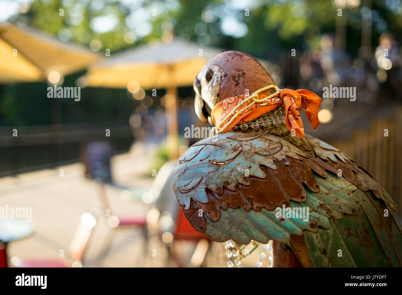Green parrot bar hi-res stock photography and images - Alamy