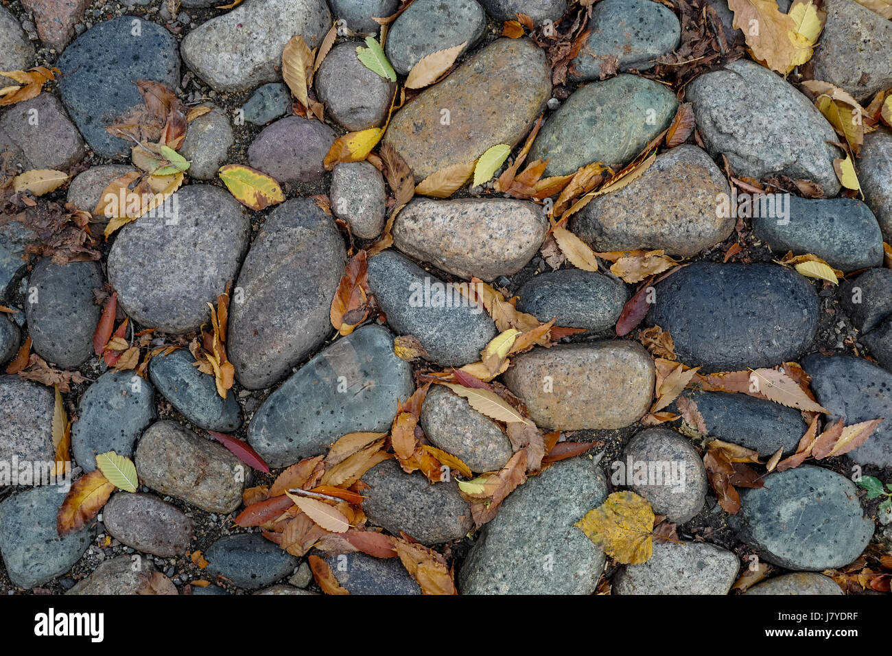 Fall in boston hi-res stock photography and images - Alamy
