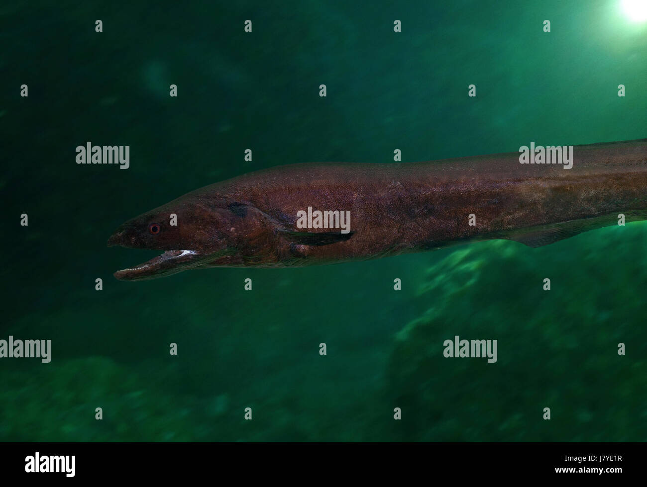 Detail Salt High Resolution Stock Photography and Images - Alamy