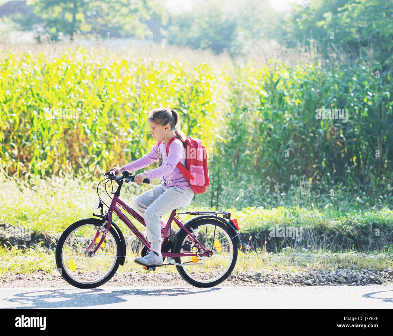 humans human beings people folk persons human human being object ...