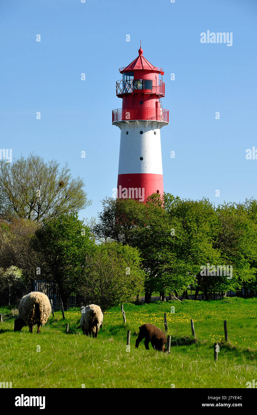 blue water baltic sea salt water sea ocean striated bluer lighthouse ...