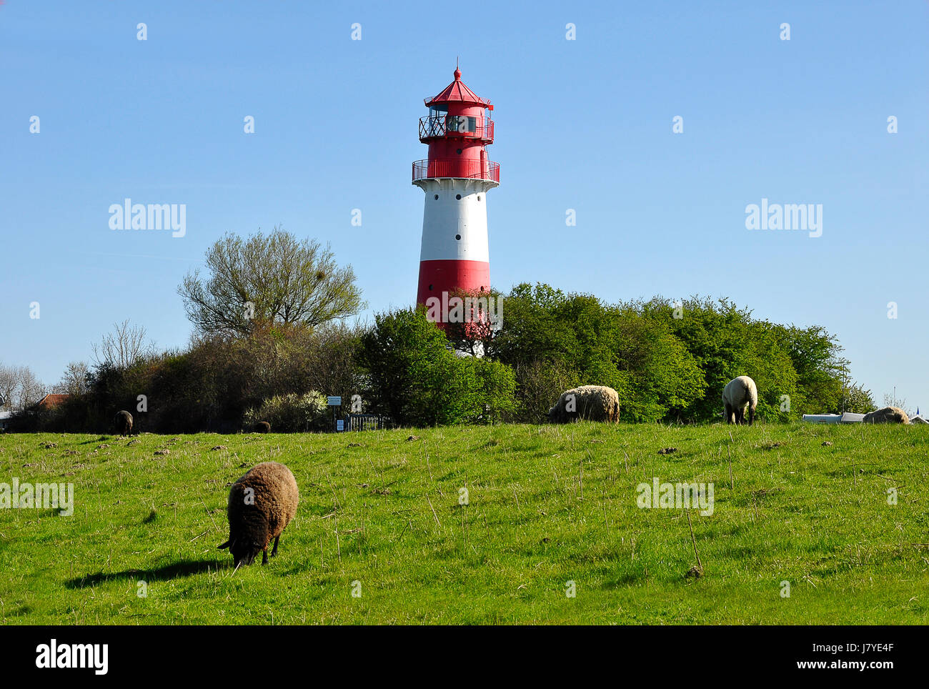 blue water baltic sea salt water sea ocean striated bluer lighthouse ...
