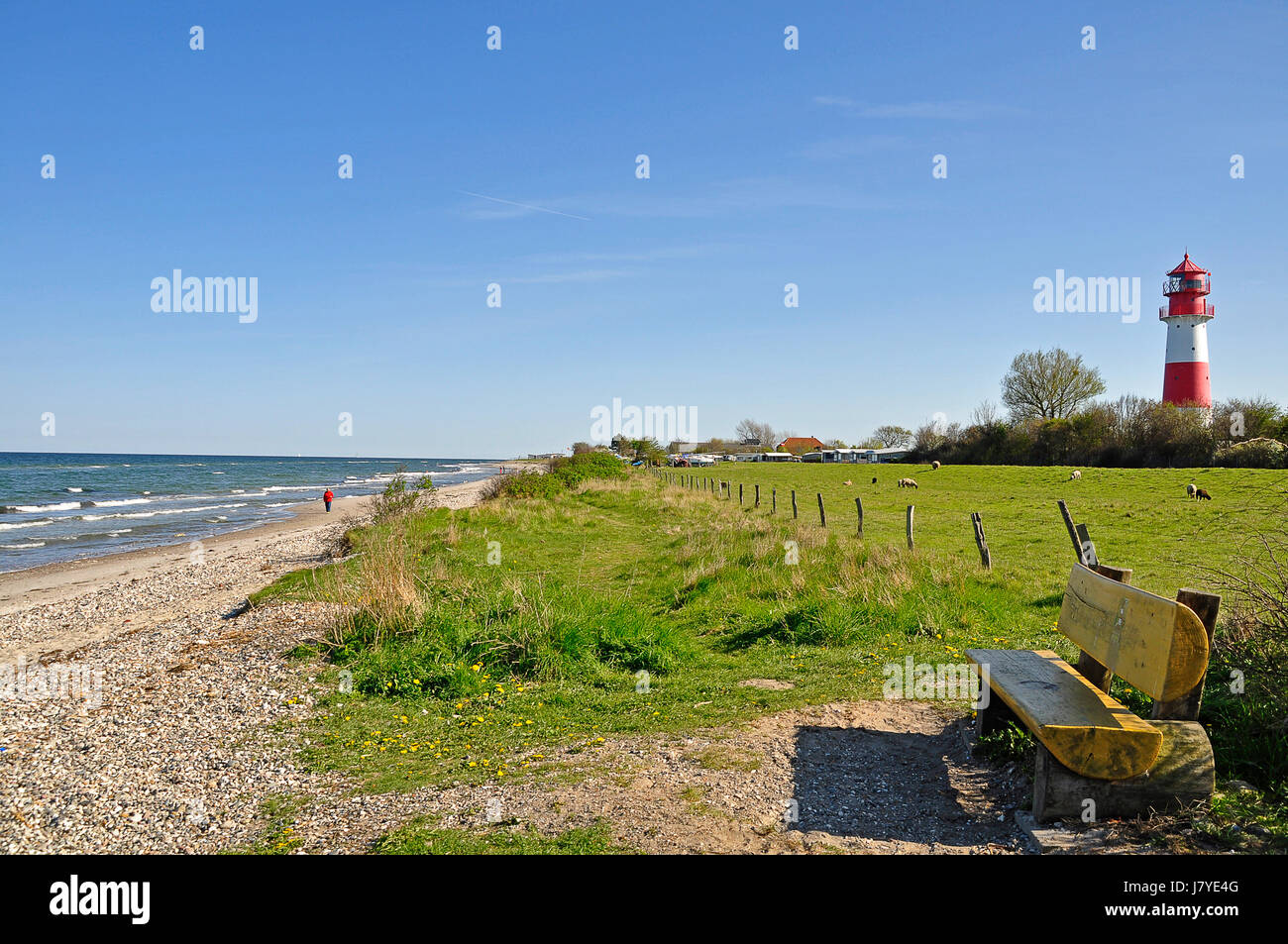 beach seaside the beach seashore water baltic sea salt water sea ocean ...