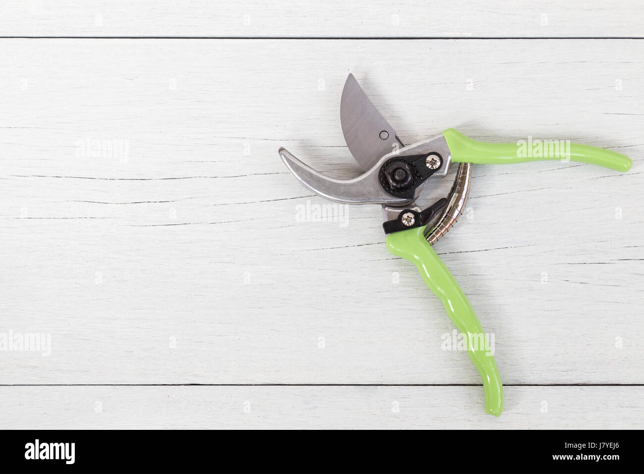 New green secateurs on white wooden background. Top view Stock Photo - Alamy