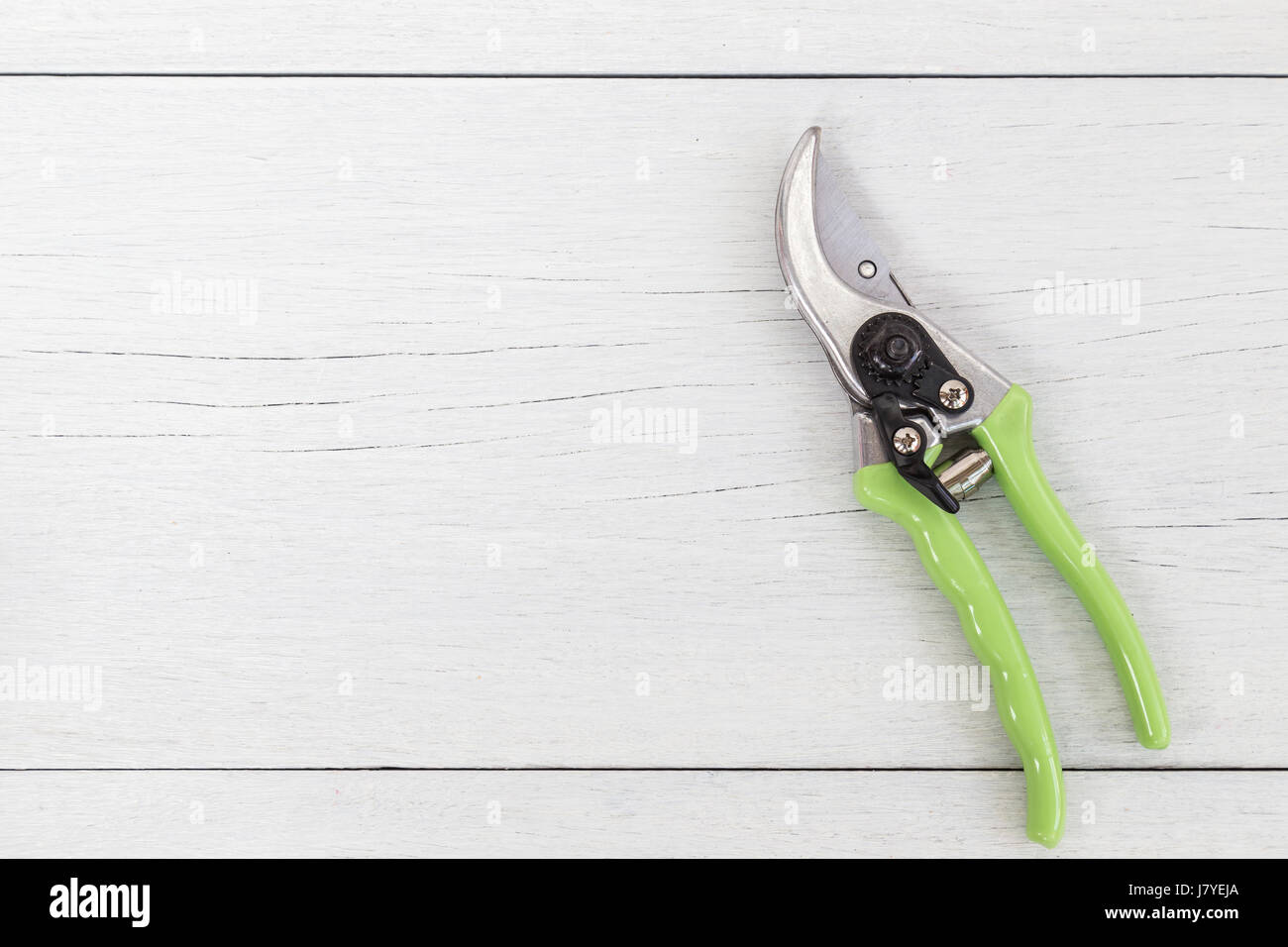New green secateurs on white wooden background. Top view Stock Photo - Alamy