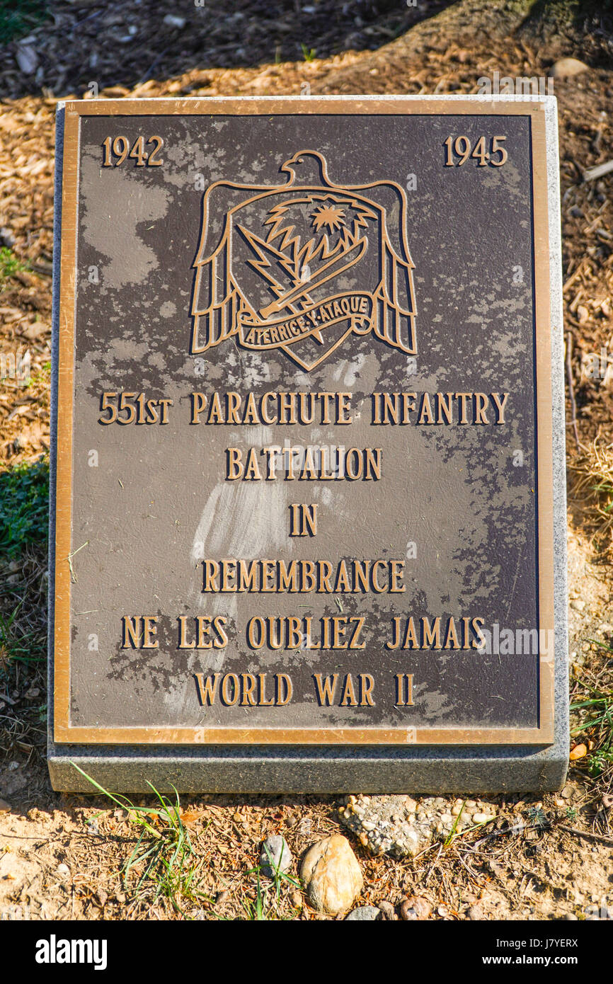 551st Parachute Infantry Battalion in Remembrance - WASHINGTON ...