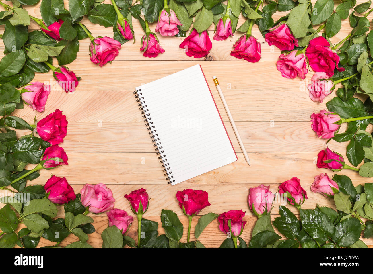 Top view fresh pink rose flower and empty white note book on wooden ...
