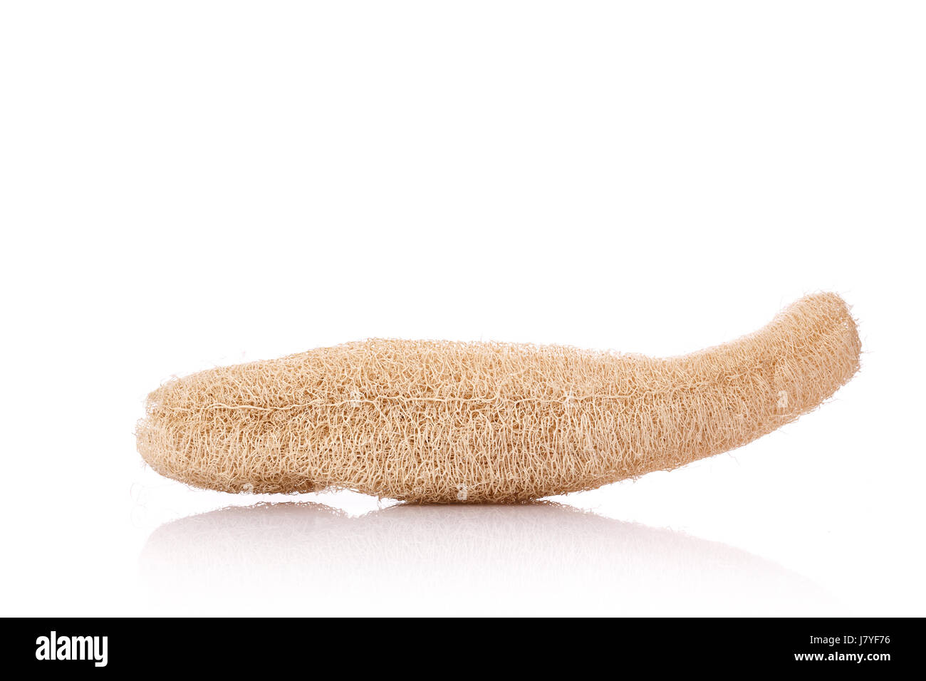 Dry Luffa, luffa sponge. Studio shot isolated on white background Stock ...