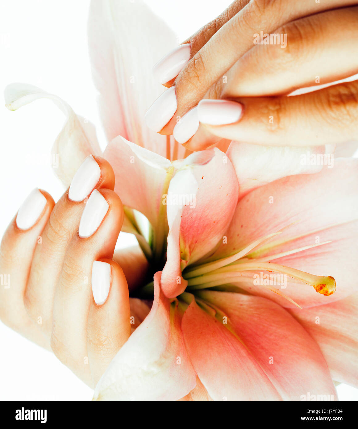 beauty delicate hands with manicure holding flower lily close up ...