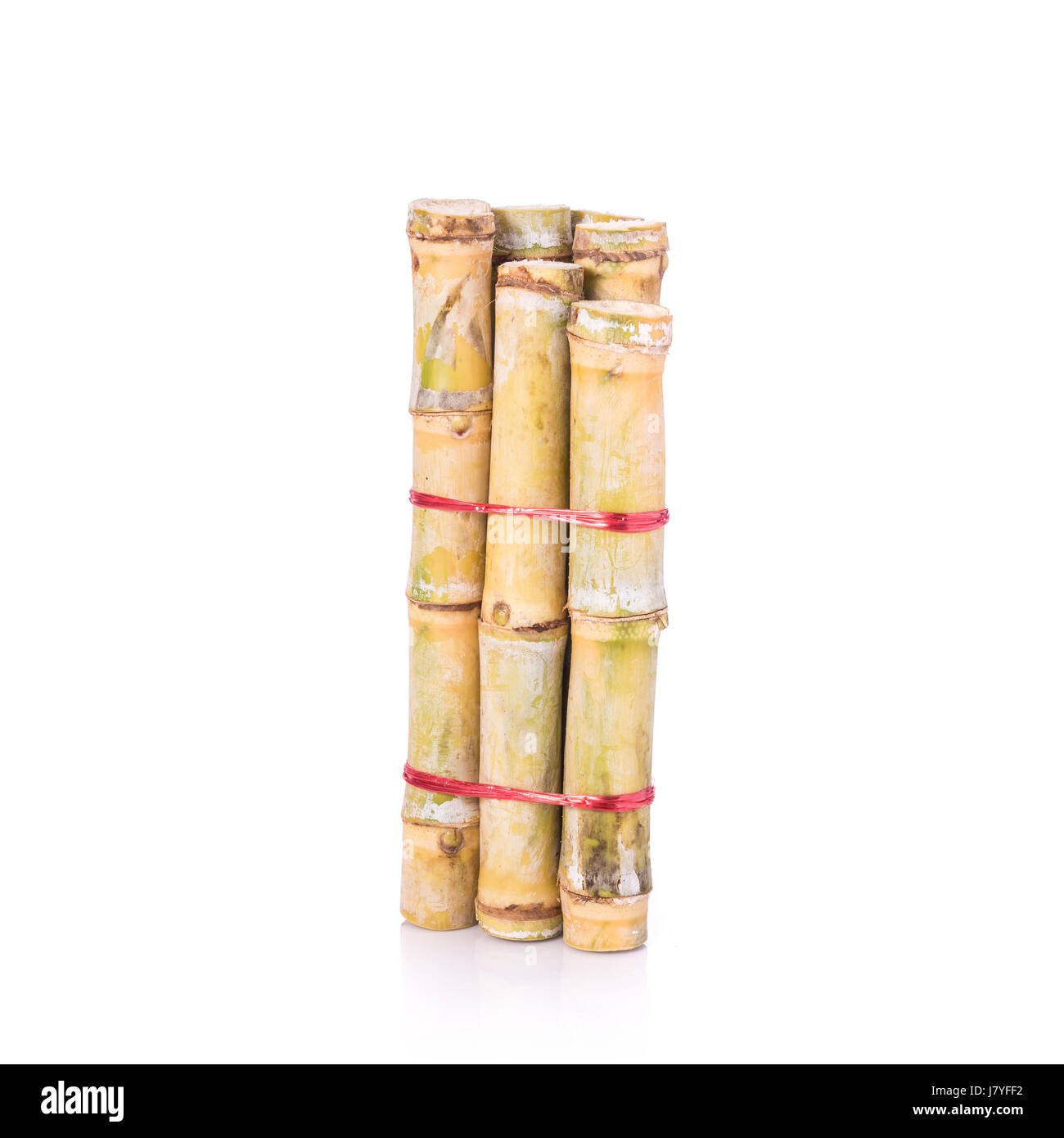 Closeup shot sugar cane Cut Out Stock Images & Pictures - Alamy