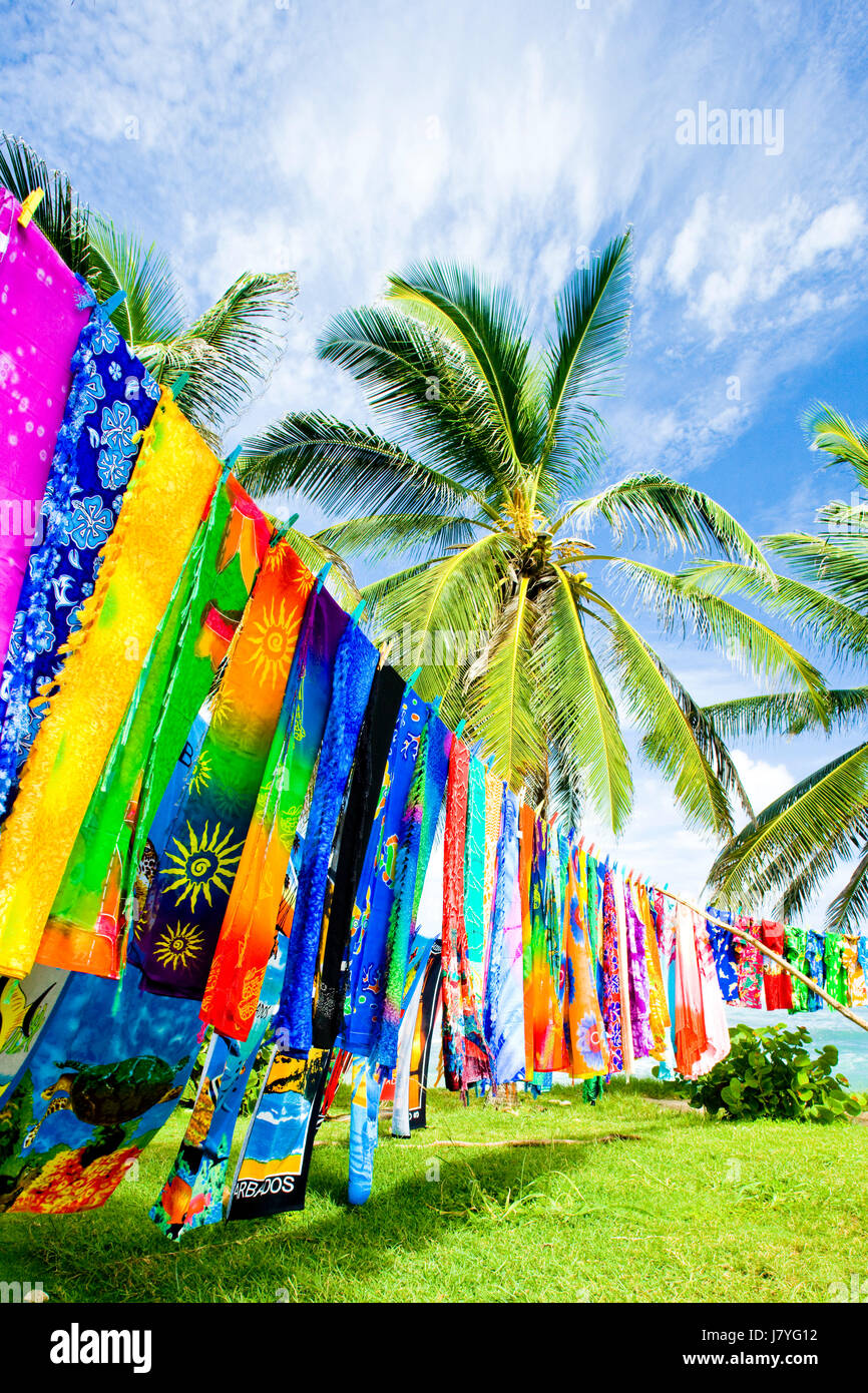 beach seaside the beach seashore tropical island isle object objects ...