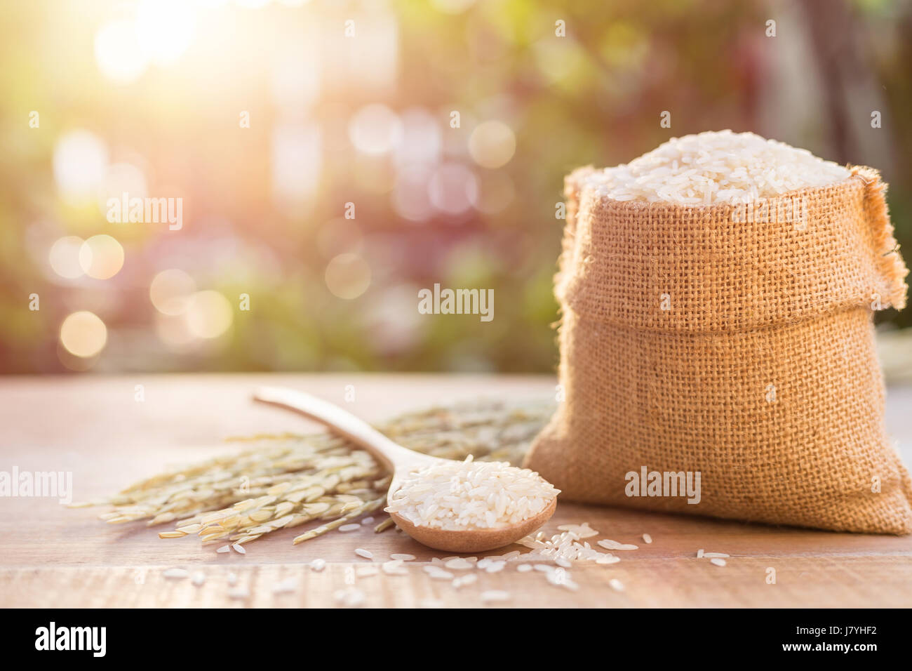Close up Thai jasmine rice in small sack on wooden table with sunlight ...