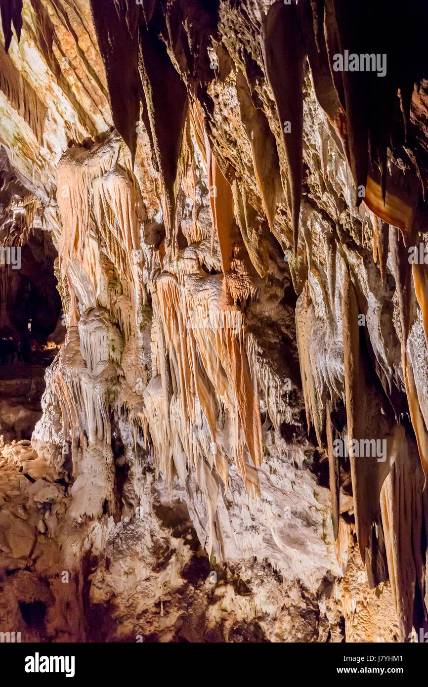 Postojna cave (postojnska jama) hi-res stock photography and images - Alamy