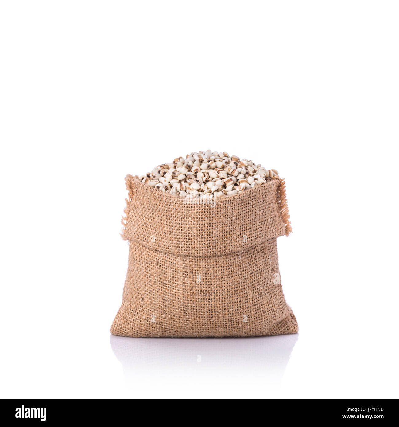 Close up millet rice or millet grains in small sack. Studio shot ...
