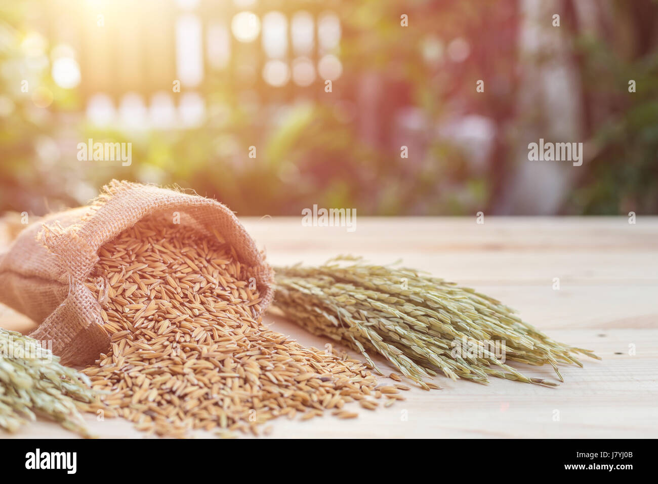 Paddy sack hi-res stock photography and images - Alamy