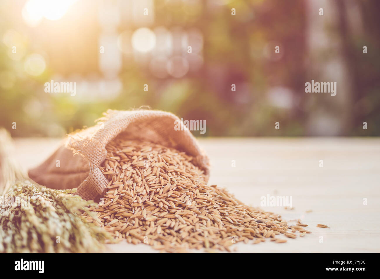 Paddy sack hi-res stock photography and images - Alamy
