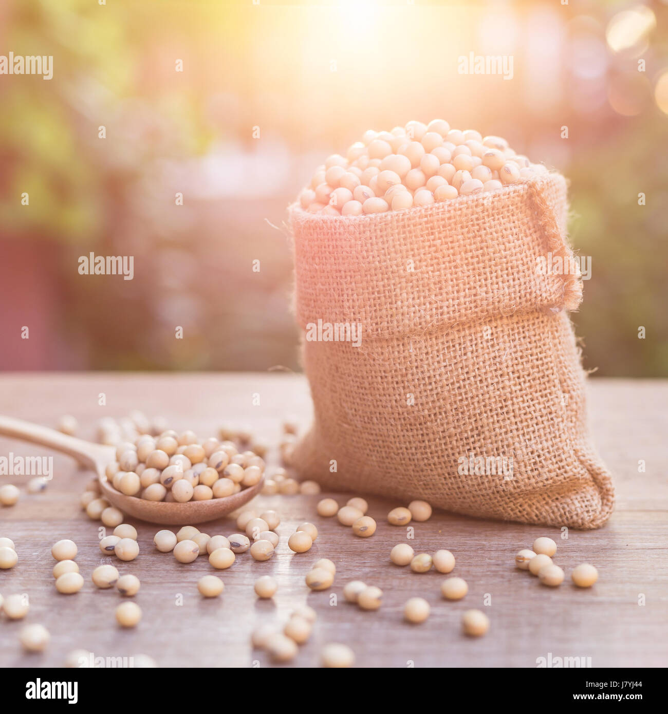 Close up soybean in small brown sack on wooden table. Outdoor shooting ...