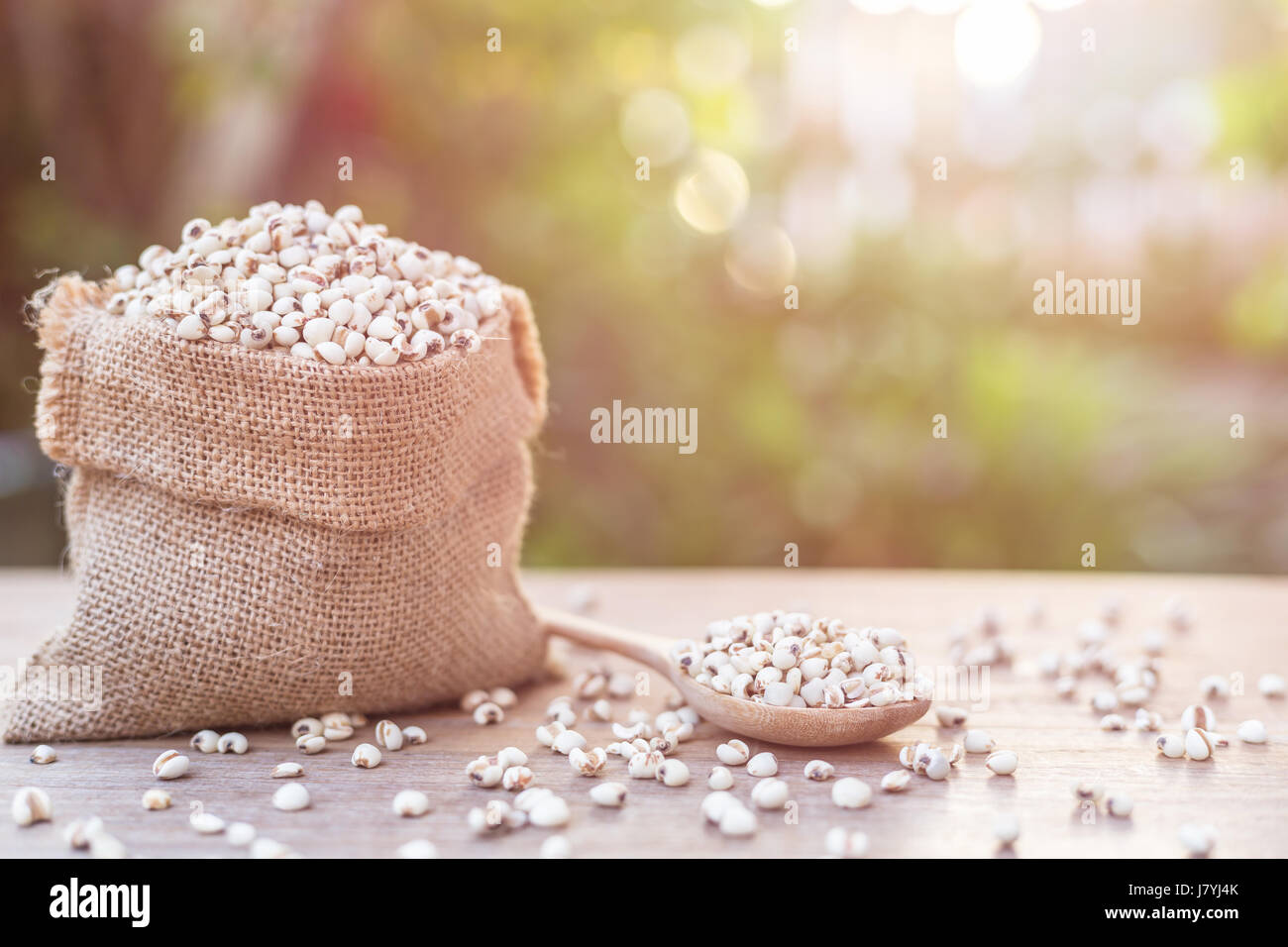 Close up millet rice or millet grains in small sack on wooden table ...