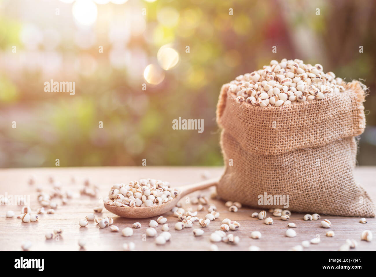Close up millet rice or millet grains in small sack on wooden table ...