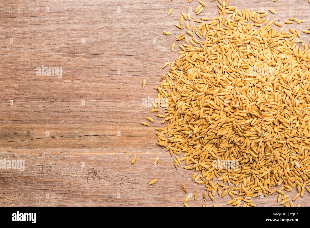 Top view Thai yellow paddy rice put on wooden plank background Stock ...