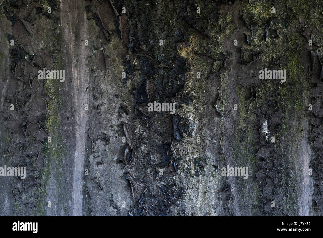 Been infiltrated hi-res stock photography and images - Alamy