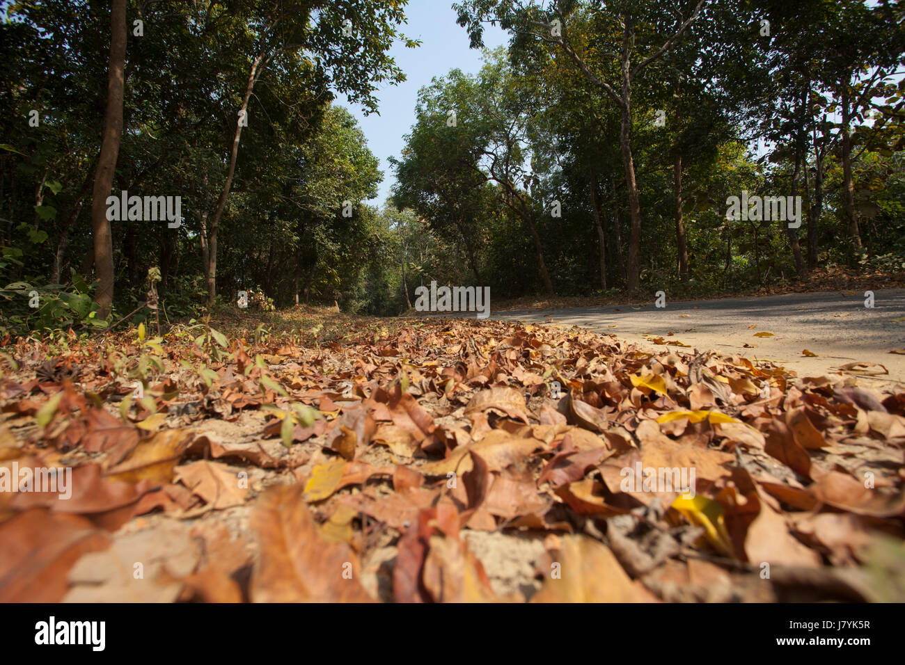 Kaptai National Park in Rangamati, Bangladesh Stock Photo - Alamy
