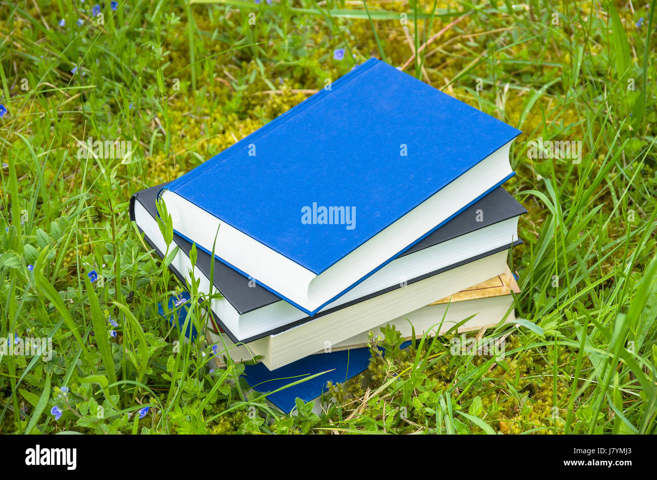 Pile of various books in the fresh green grass Stock Photo - Alamy