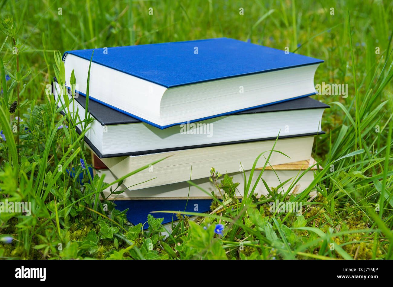 Fresh books hi-res stock photography and images - Alamy