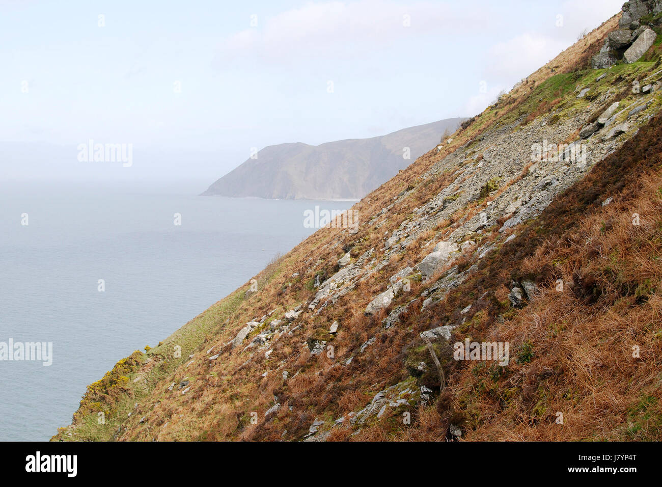 england coast cliff landscape scenery countryside nature salt water sea ...