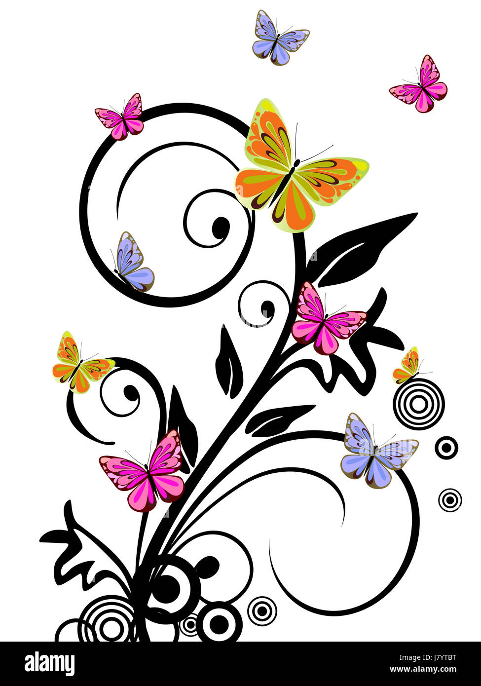 spring time - dst Stock Photo - Alamy