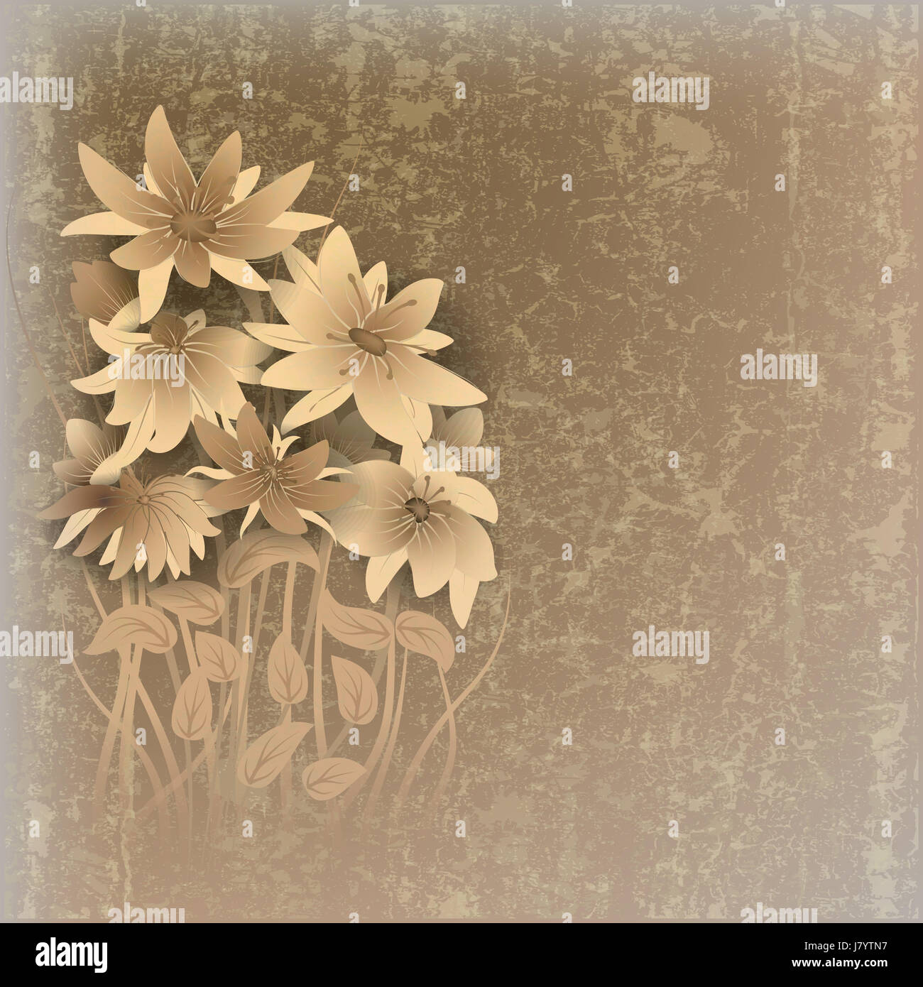 flower plant dirty crack retro old fissure backdrop background floral ...