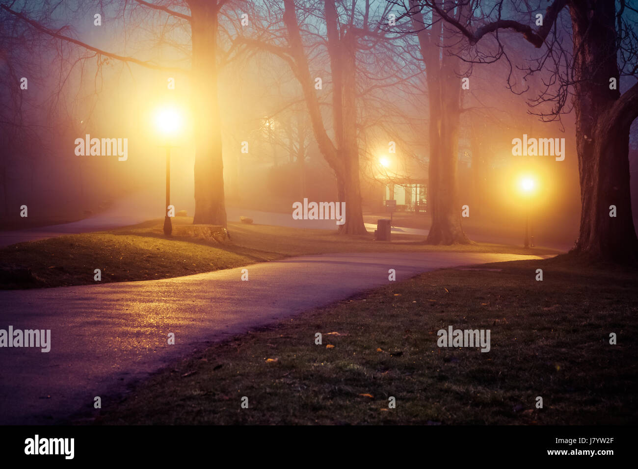 haunted alley - foggy evening in the park Stock Photo - Alamy