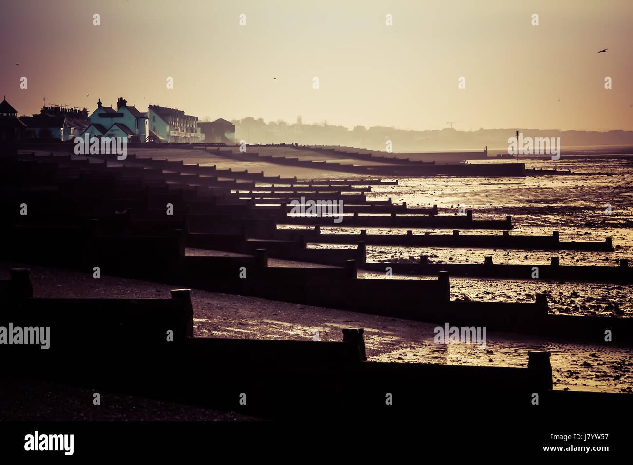 sunset at low tide in Whitstable, Kent Stock Photo - Alamy