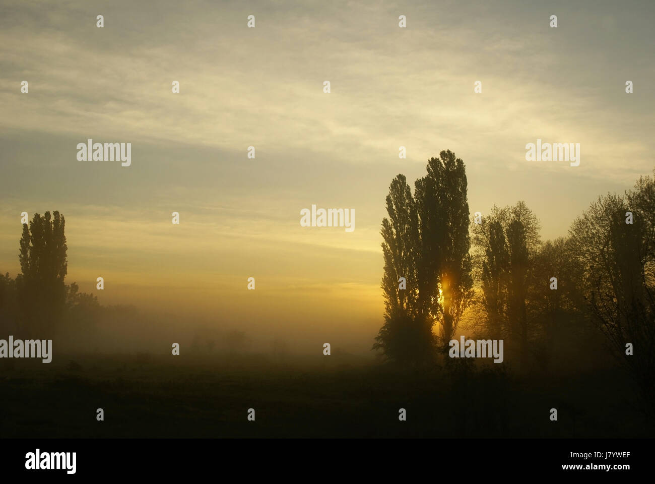 beautiful beauteously nice beam backlit beauty fall autumn beautiful ...